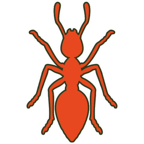 Wham Bam - Pest Control Sydney