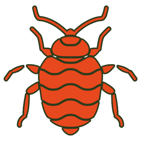Wham Bam - Pest Control Sydney