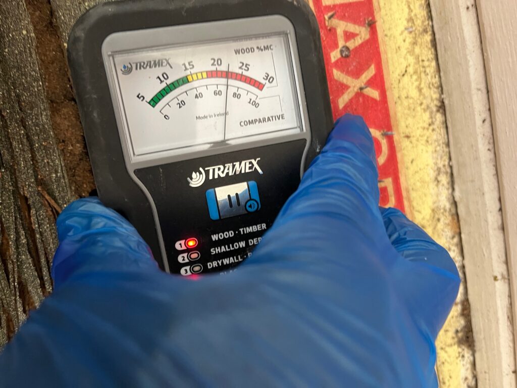 termite inspections - Wham Bam